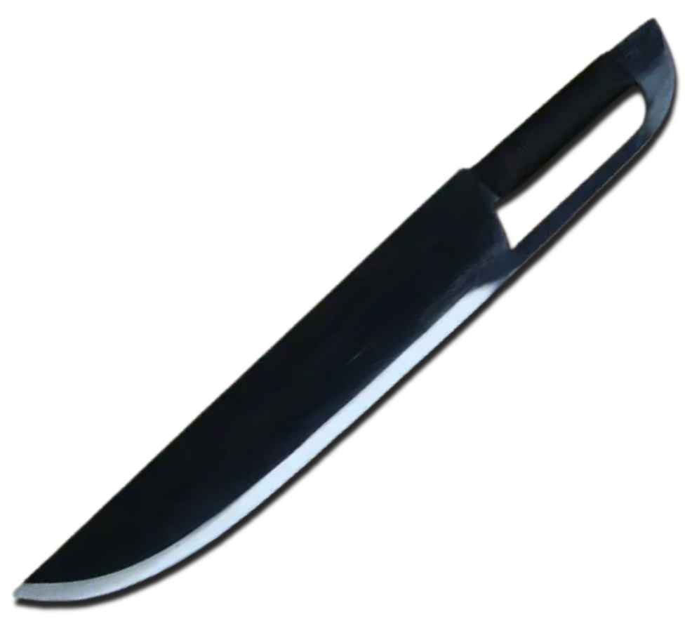 Ichigo New Zanpakuto Dual Wield